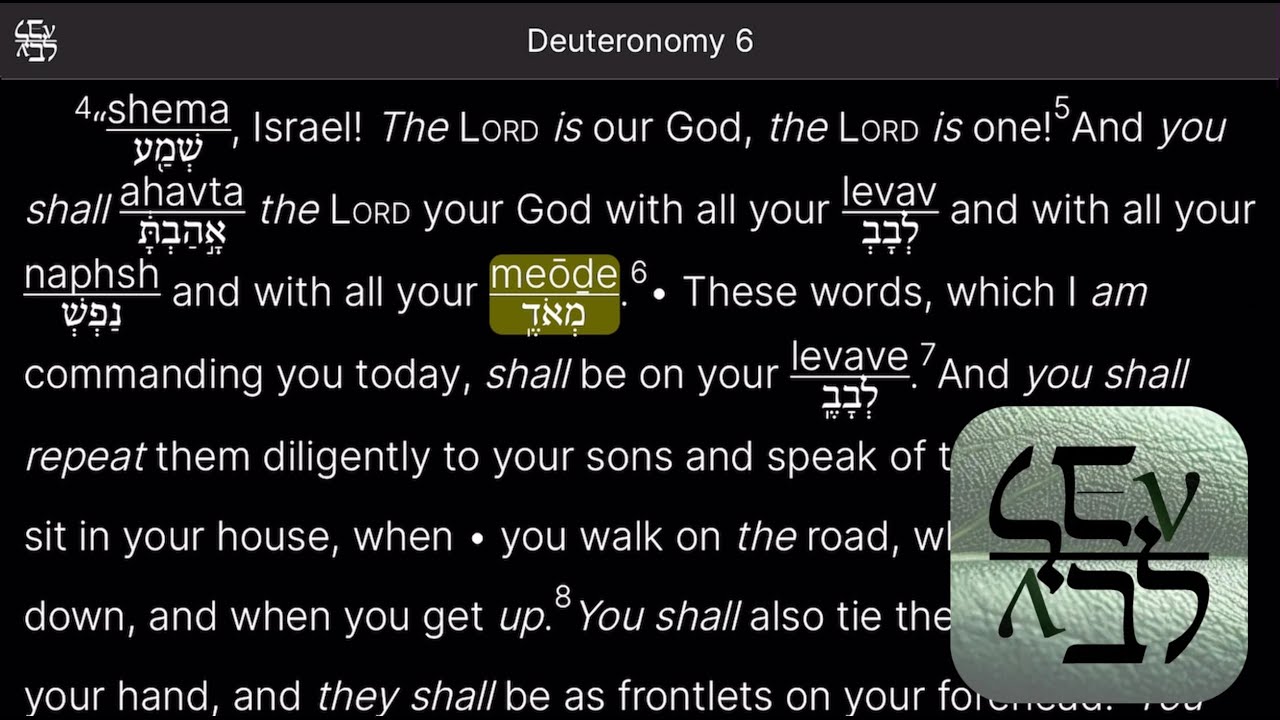 Introducing Lev Bible - YouTube