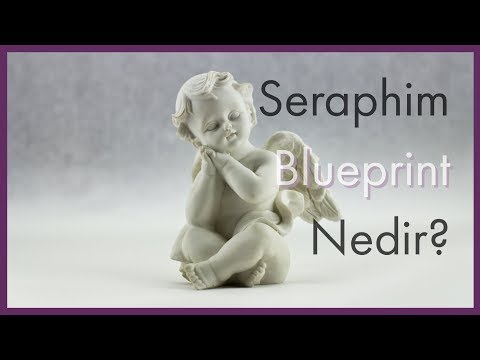 SERAPHİM BLUEPRİNT nedir? (Serafim blueprint nedir, Serafim eğitimi)