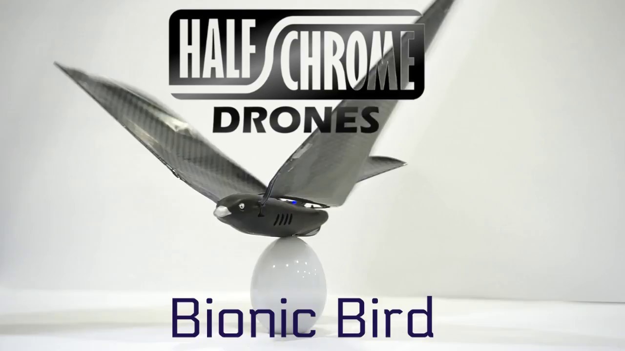 Half Chrome Drones: Bionic Bird a Unique Drone - YouTube