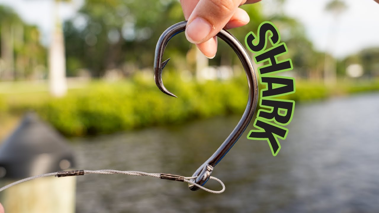 Crafting the Ultimate Big Shark Rig from Start to Finish! - YouTube