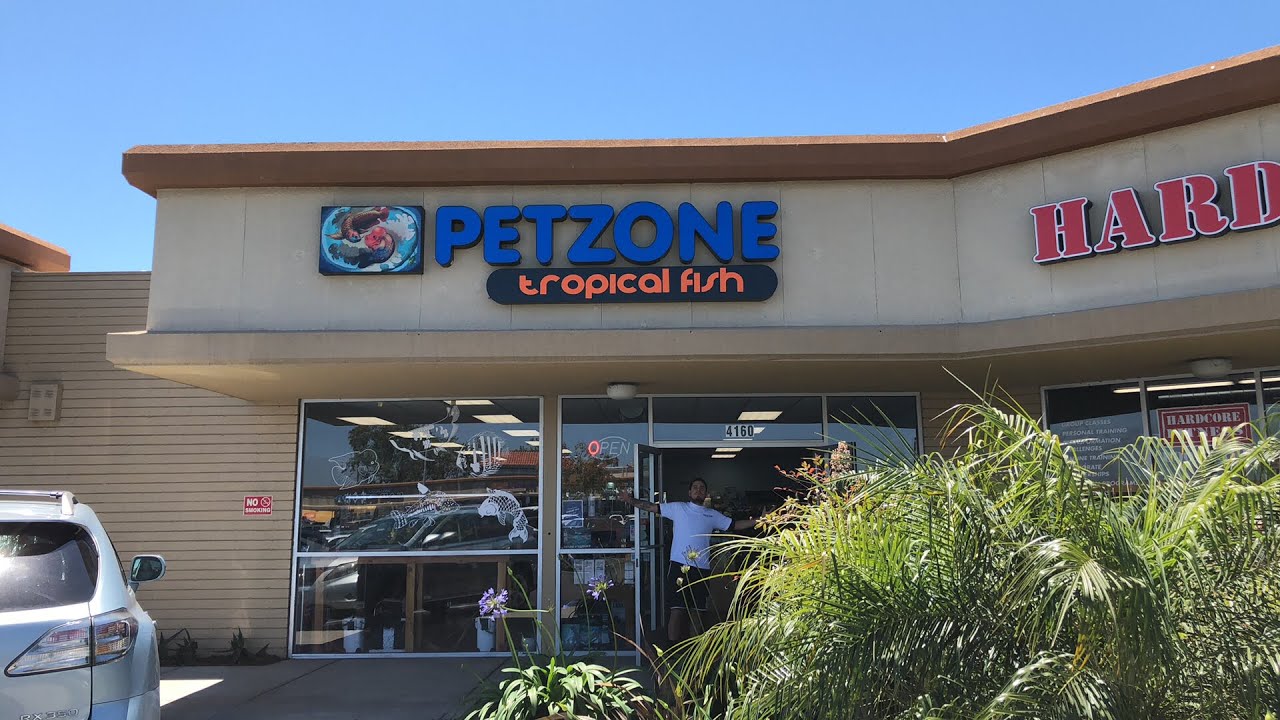 Local Fish Store Tour: Pet Zone Tropical Fish - San Diego - YouTube
