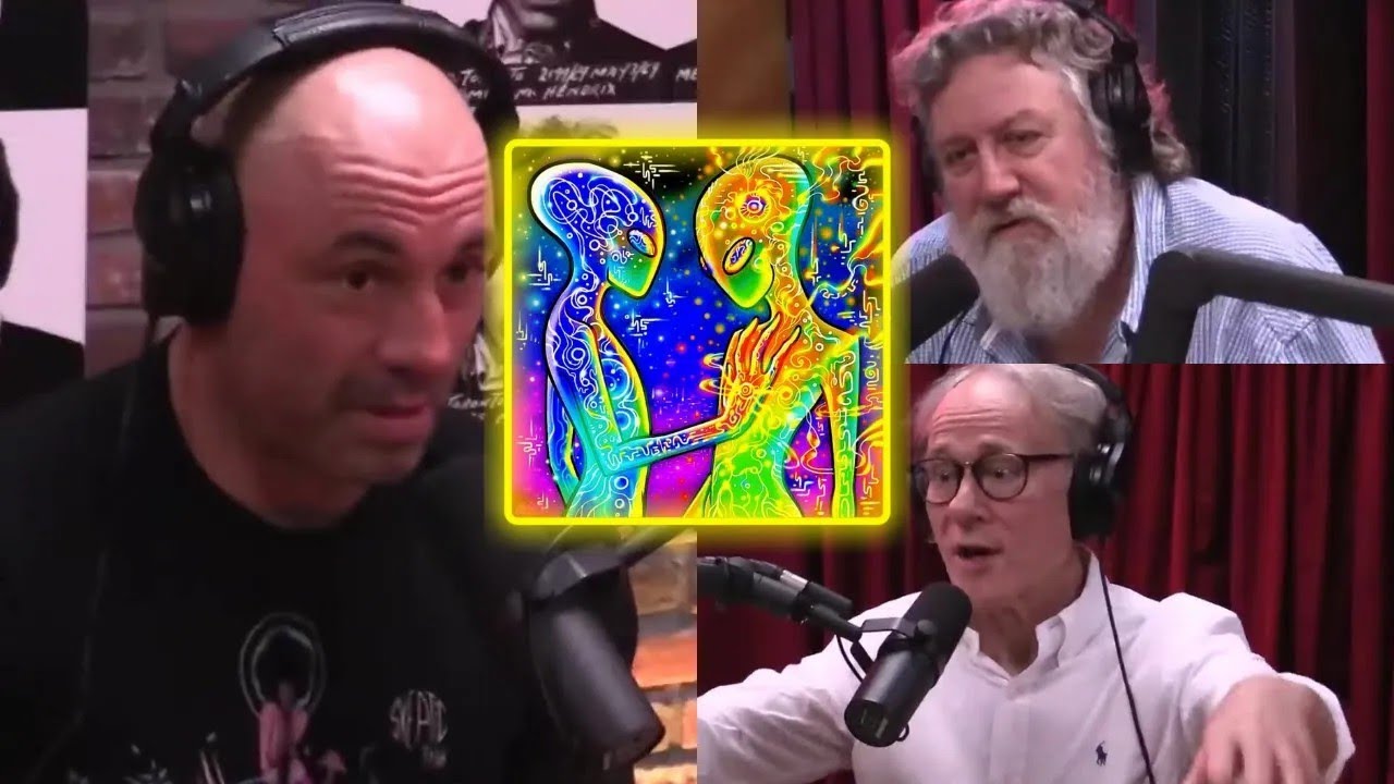 DMT & Aliens Joe Rogan Experience - YouTube