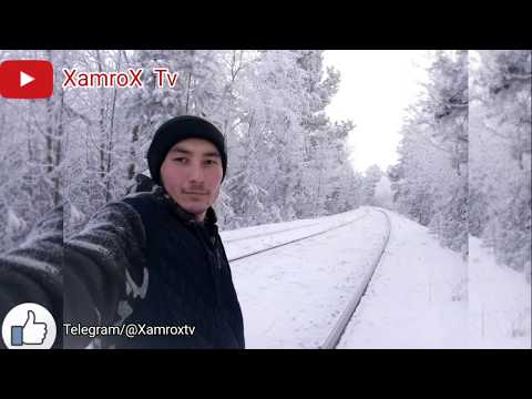 Qishning Eng chiroyli manzalardan / Кишнинг енг чиройли манзараларидан