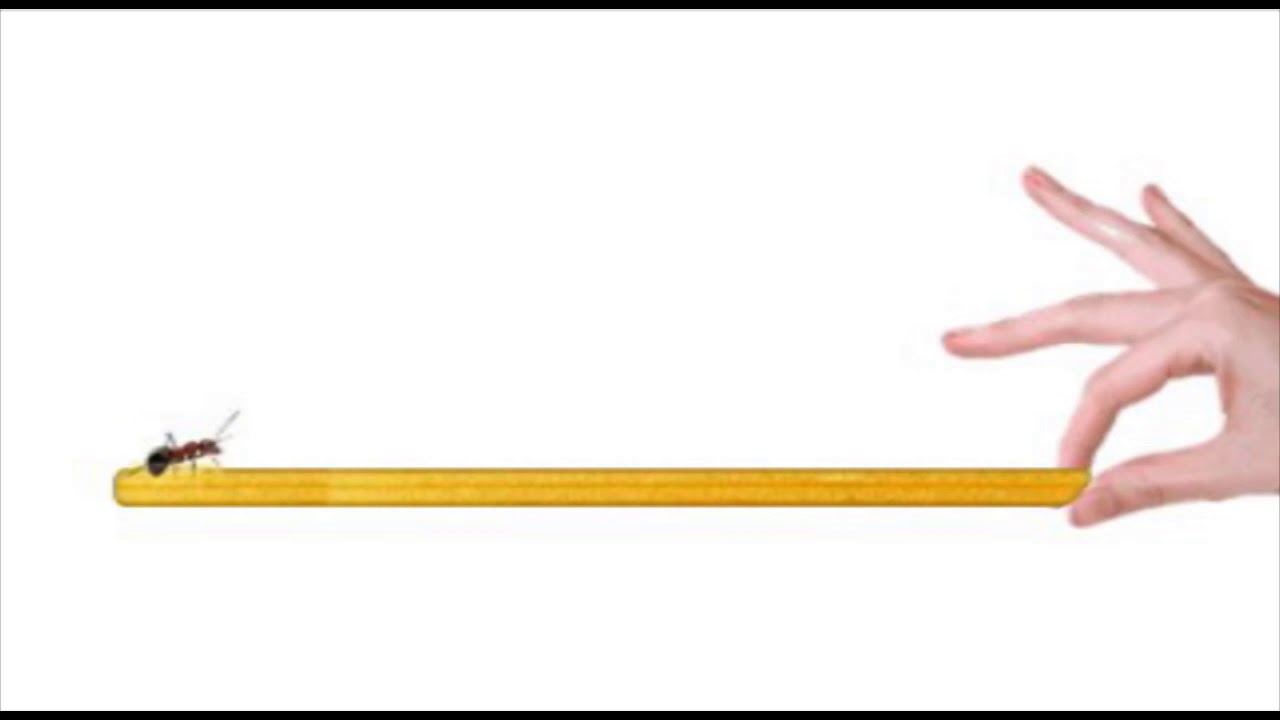 Ant on a rubber rope - The spoken Wikipedia - YouTube