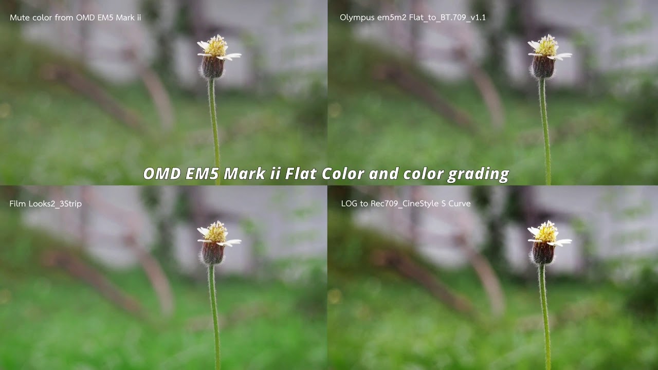OMD EM5 Mark2 Flat color Grading - YouTube