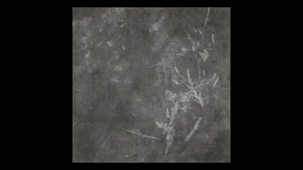 Exiled From Light - There Is No Beauty Left Here (Full Album) (2010 ...