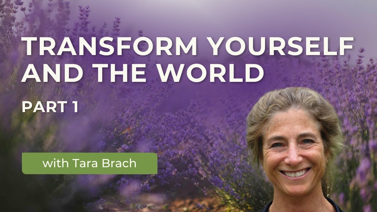 Transform Yourself and the World | Tara Brach on the Healing Power of Imagination (Part 1) - YouTube
