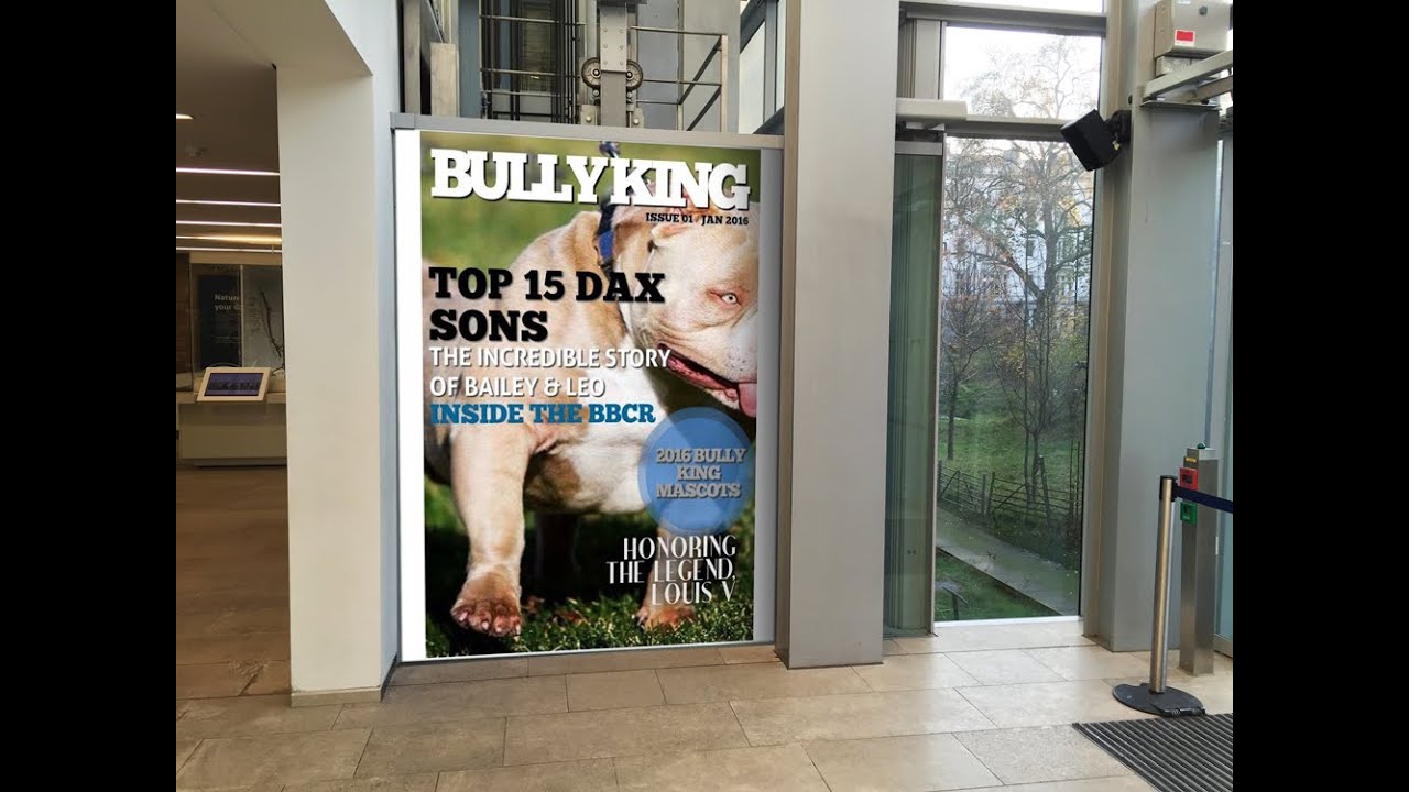 BULLY KING Magazine | On Sale Now! | Subscribe Today! - YouTube