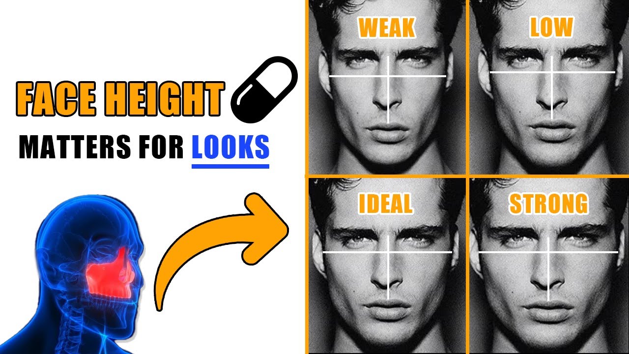 Why Your Face Height Matters For Attractiveness ? fWHR - YouTube
