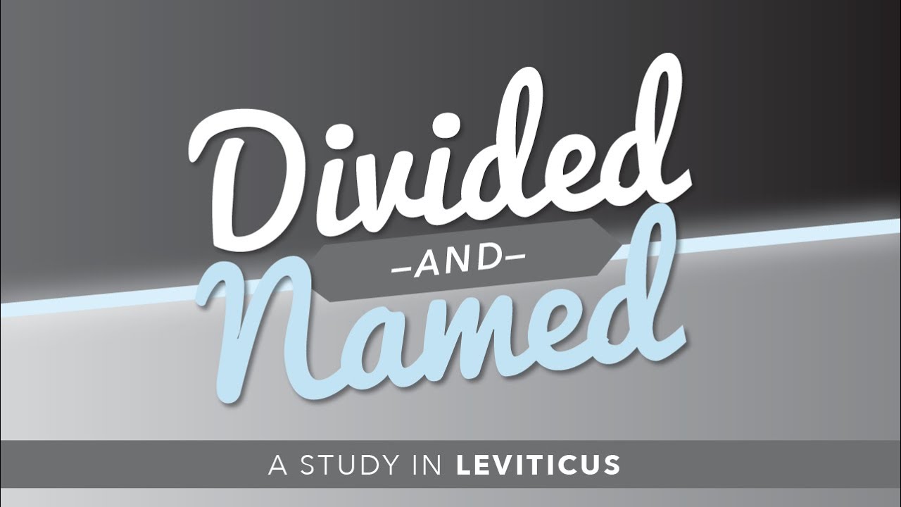 Divided and Named — Jackson Sneed - YouTube