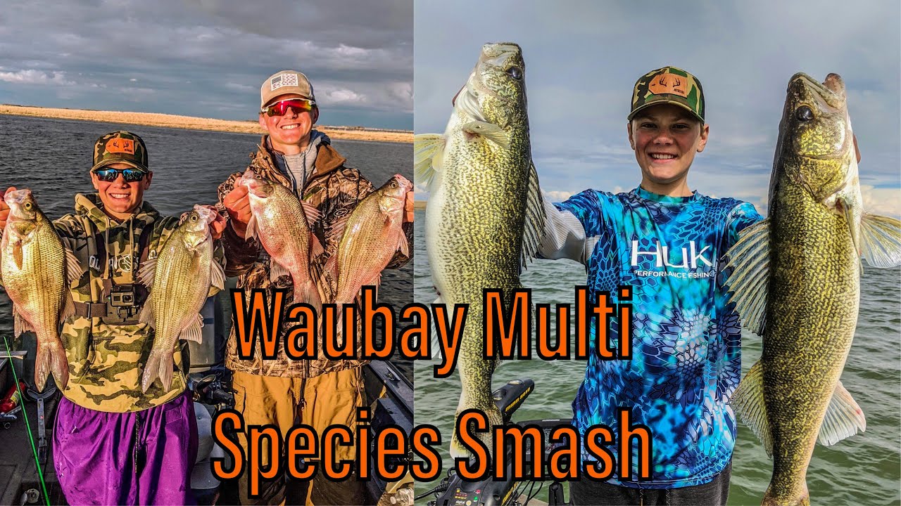 Gregerson Salvage Waubay South Dakota at Tracy Lawson blog