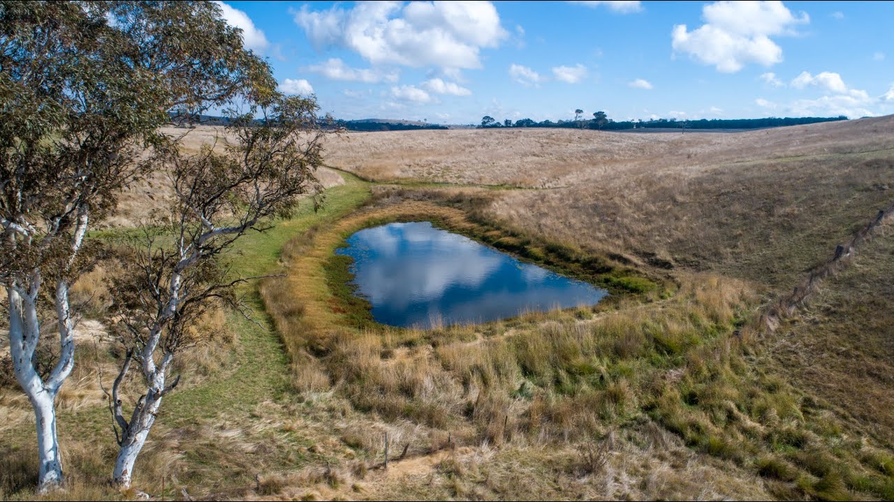 Pinebank Lane, Springrange NSW - YouTube