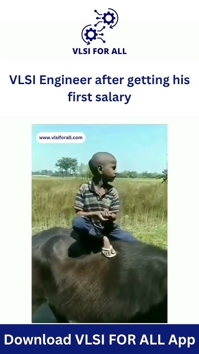 VLSI MEME - VLSI Engineer after getting his first Salary | Best VLSI Training | Advanced VLSI ...