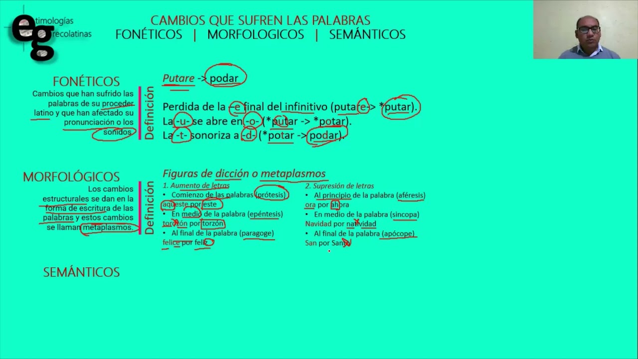 Ejemplos de cambios en palabras: Fonética, morfología y semántica.