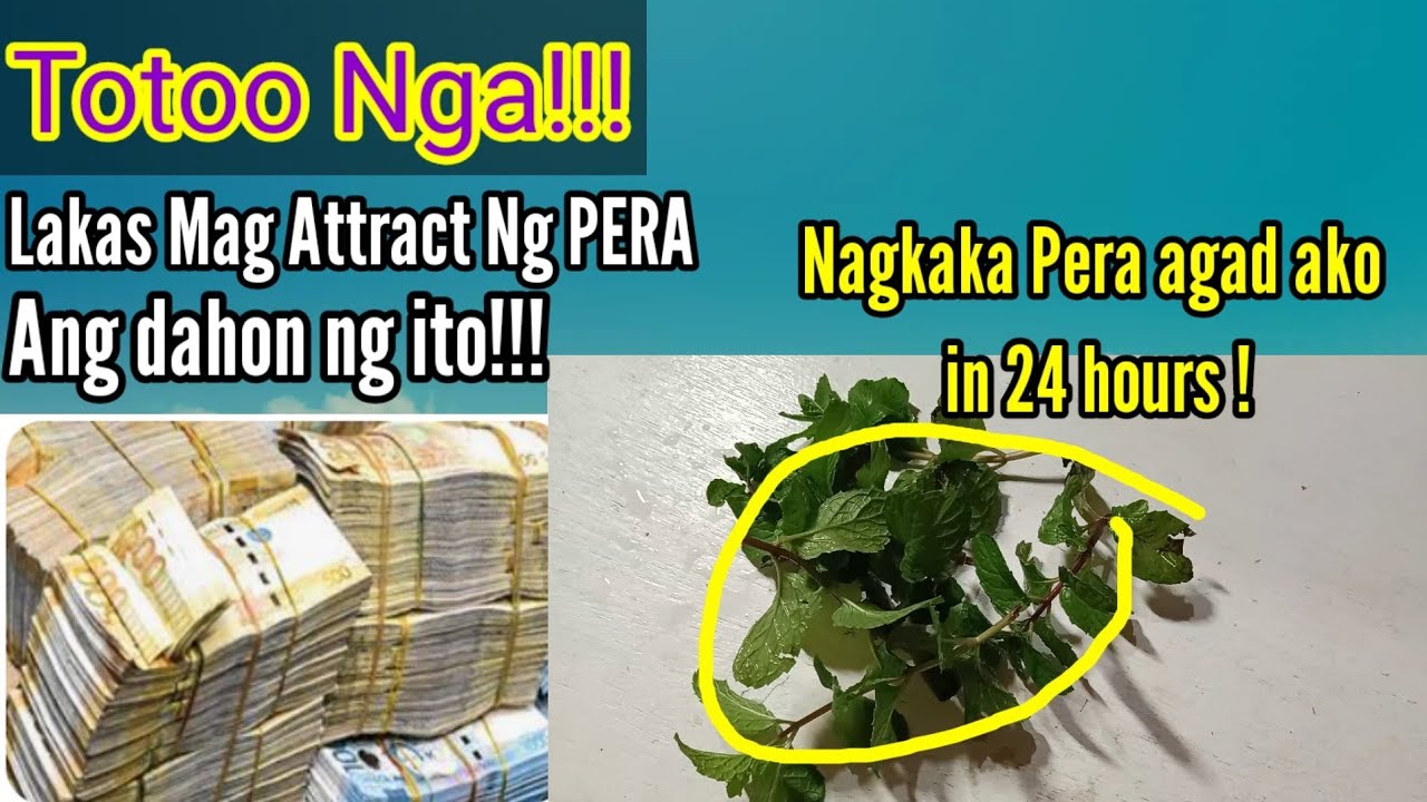 TOTOO Nga 100% NAGKA-PERA Ako Nito AGAD || Effective Talaga na May ...