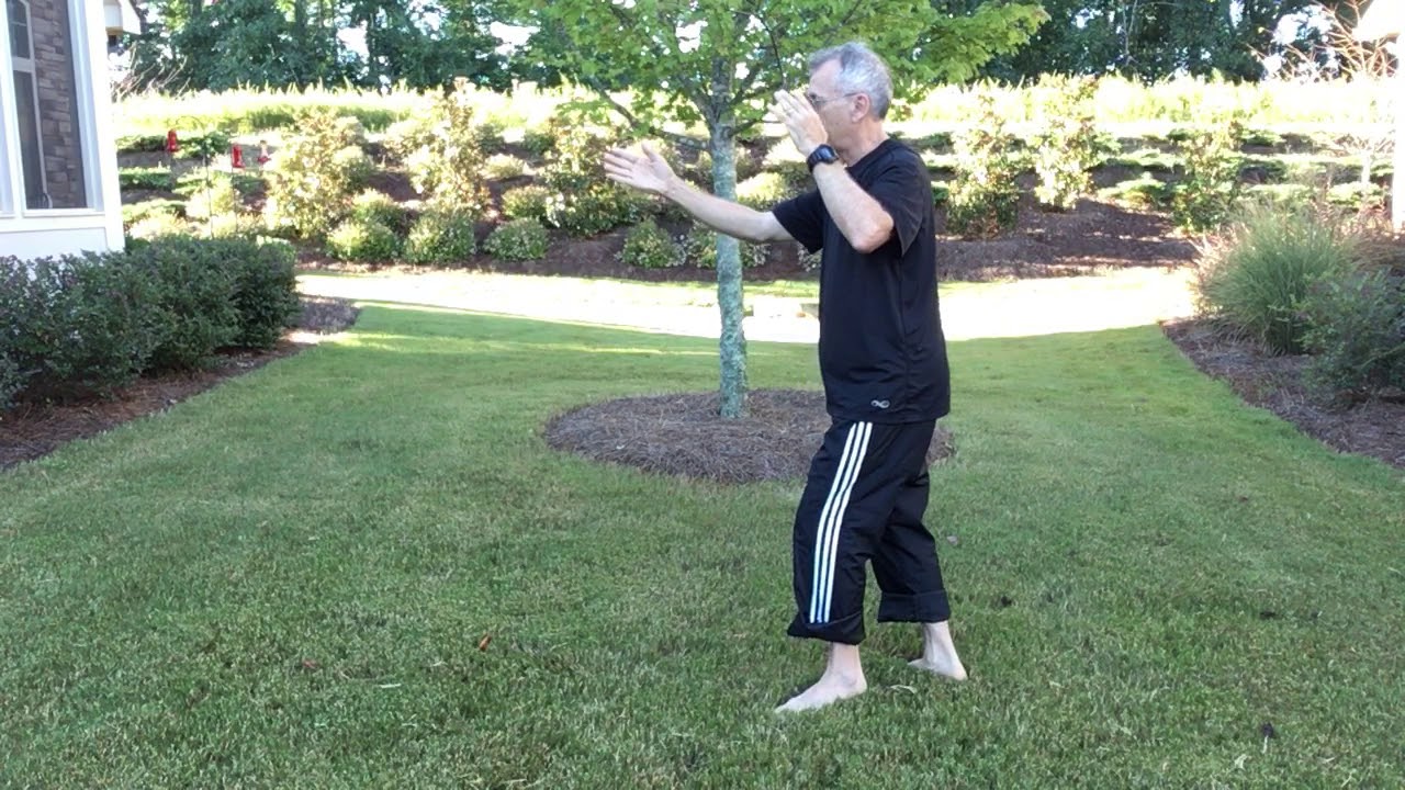 Tai Chi Yang Form 24 Lesson 3 - Repulse Monkey - YouTube
