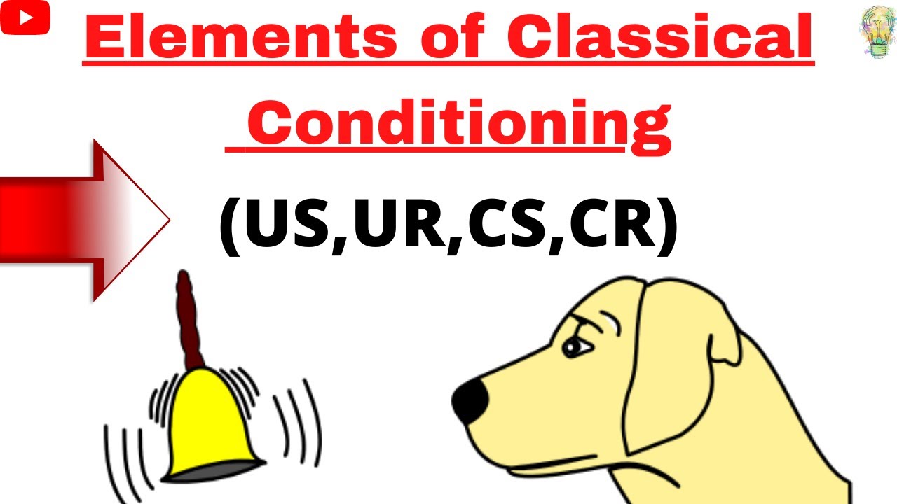 4 Elements of Classical Conditioning|Examples|Classical Conditioning ...