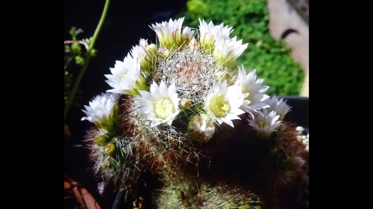 Meet Matilda and how the bathroom looks now # 208 - YouTube