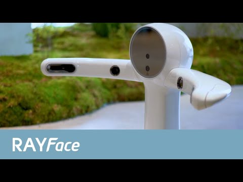 Face-Driven 3D Orthodontic Diagnosis [RAYFace] - YouTube