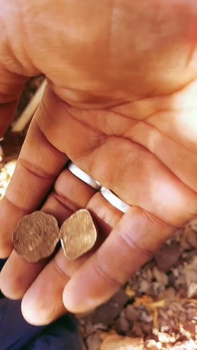 old coin Treasure hunt #geography #edit #europe #gold #treasure #metaldetecting #meme # ...