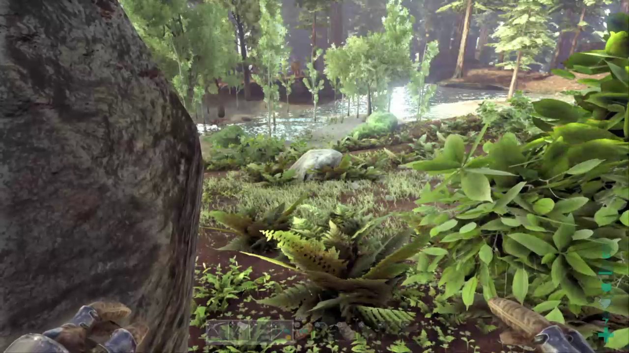 Ark Narcotic Farm - YouTube