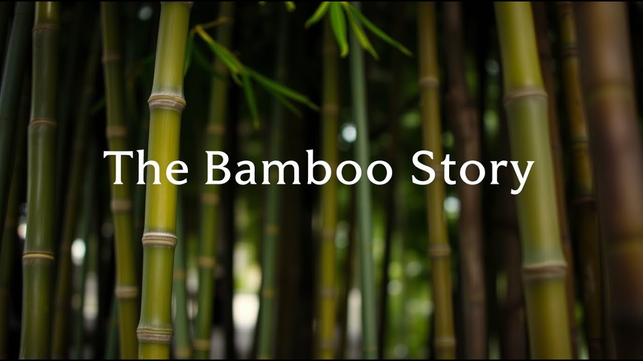 The Bamboo Story: A Powerful Lesson in Patience and Perseverance" - YouTube