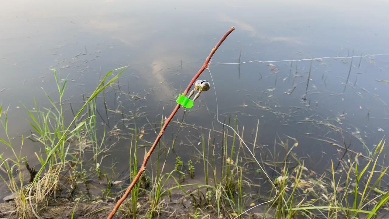 Carp Feeding Frenzy After Spawning! Catching Big Fish With Old-School ...