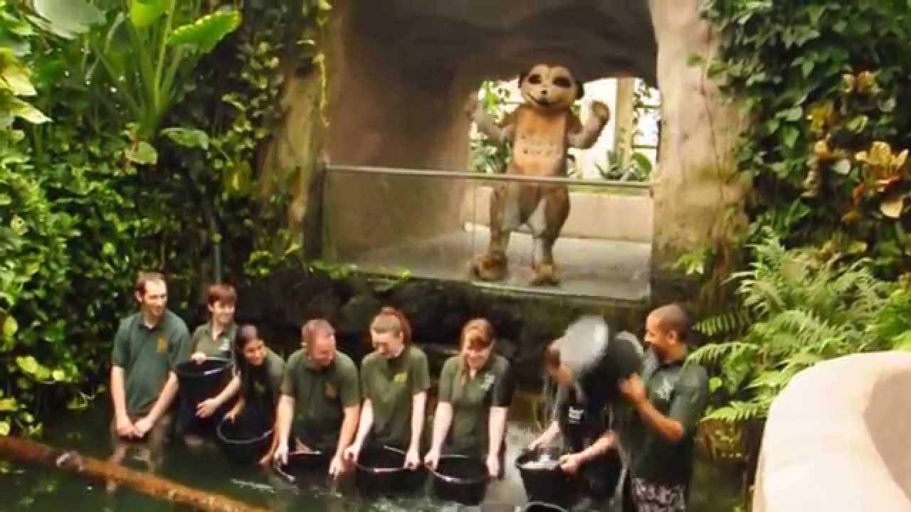 Tropical World Leeds: Ice Bucket Challenge - YouTube
