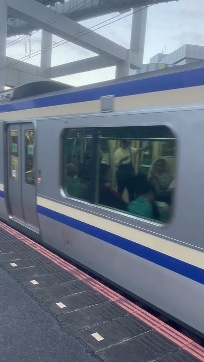 E235系1000番台J-22編成＋F-08編成千葉駅に到着#鉄オタ #鉄道 #鉄道好き #e235系1000番台 #横須賀線 #総武快速線 #15両編成 #千葉駅 #千葉市 - YouTube