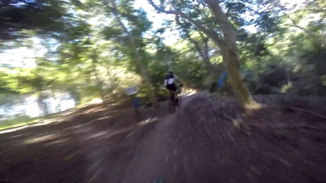 MTB South Florida - Markham Park Mountain bike Trails - YouTube