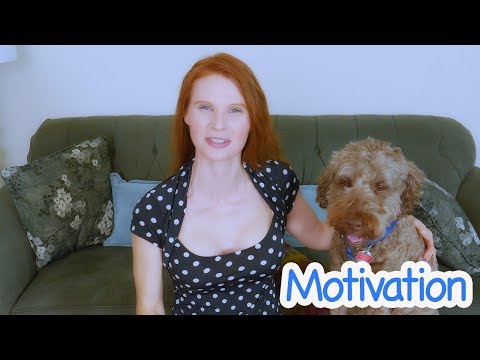 Flat Tires and Puppy Kisses  | Happy Motivation a Daily Dose of Positive