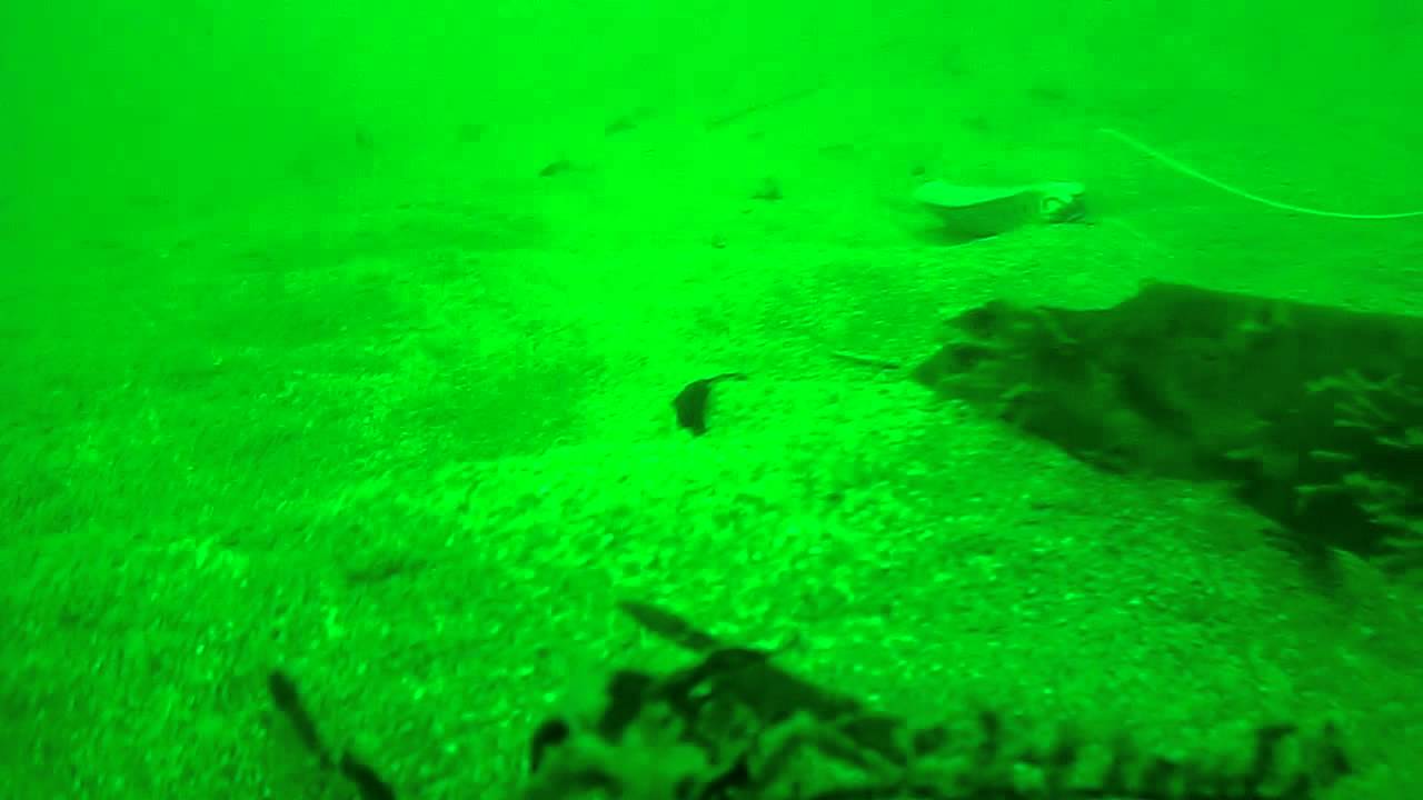 Water Wolf Fishing camera on the Skerries bank 2015 - YouTube