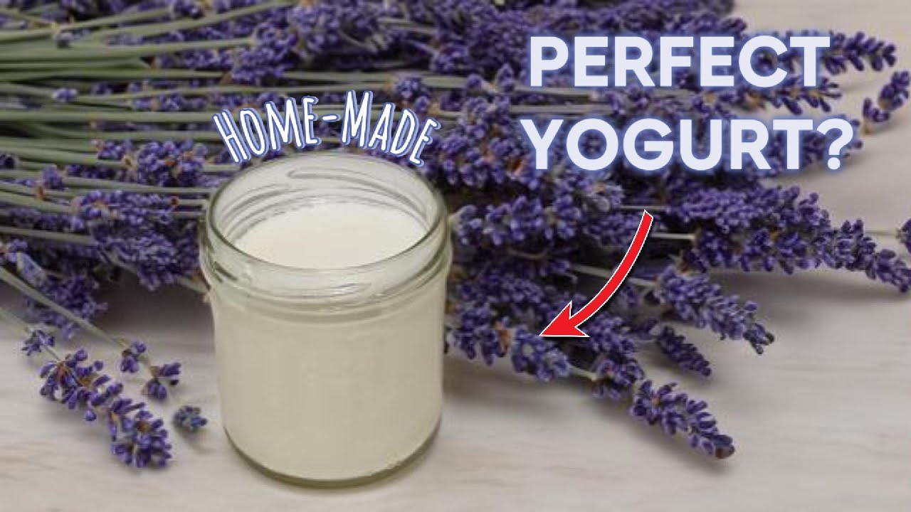 How to HOMEMADE YOGURT the easy way! DIY - YouTube