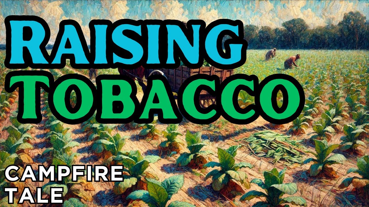 Becoming the Family Provider: A Young Man in Post-Civil War America ...