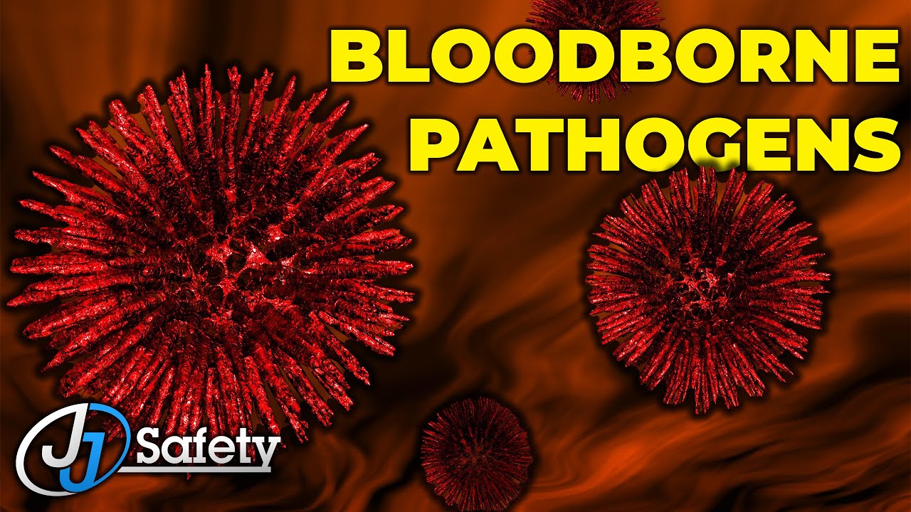 Bloodborne Pathogens: Protecting Your Health [Toolbox Talk] - YouTube