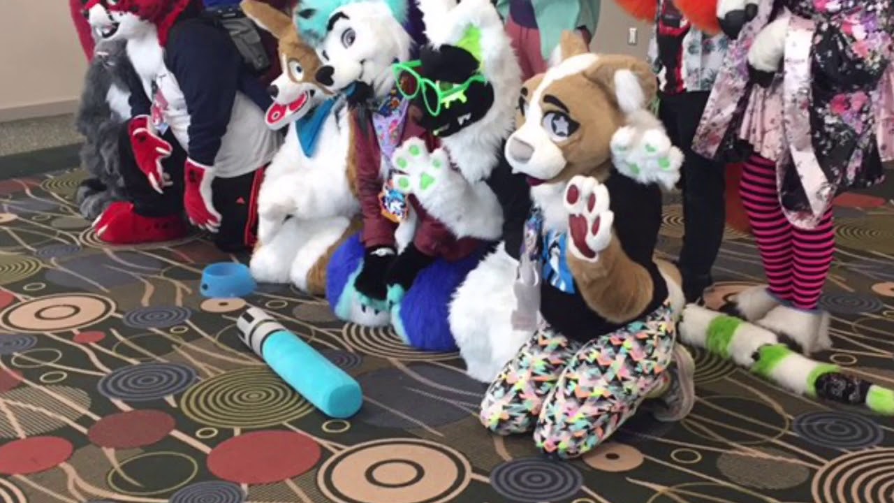 Comic con fun explanation and random video of me and my furry friends ...