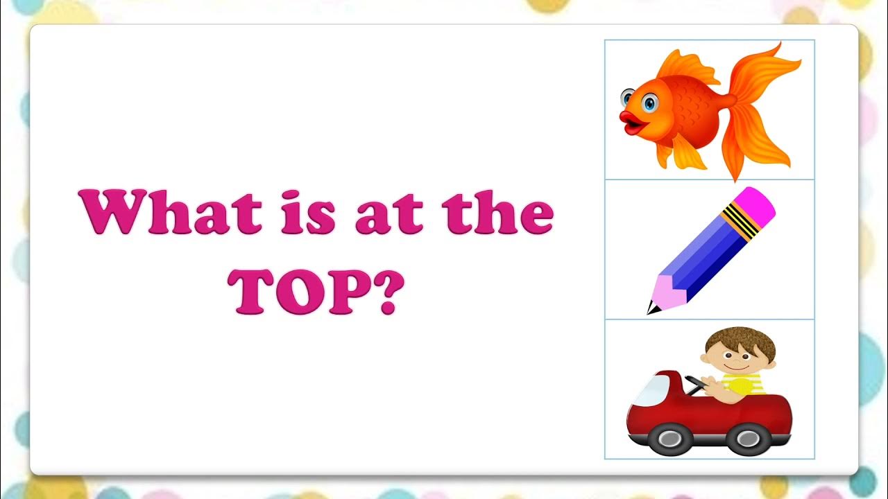 Preschool Concepts| Learning Positions-Top Middle Bottom for kids ...