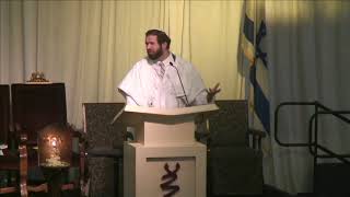 Home | Jonathan Hodson