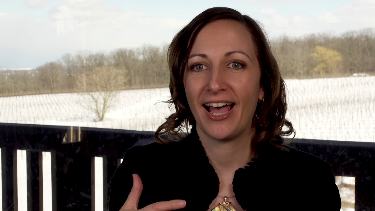 How Tamara Became a Six-Figure Transformational Author - YouTube