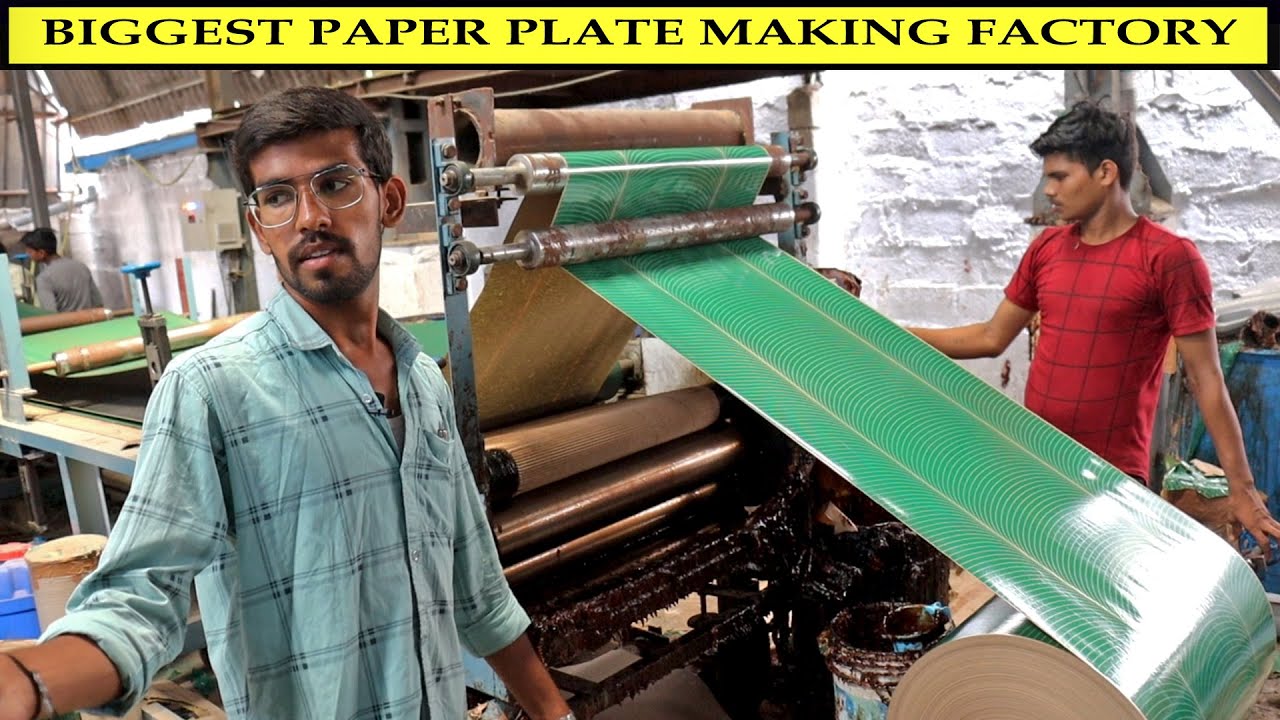 Fully Automated Buffet Paper Plate Making Mega Factory How To Start ...