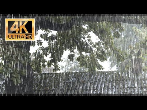 Relaxing Heavy Rain Showers | Meditate Relax Sleep Yoga - YouTube