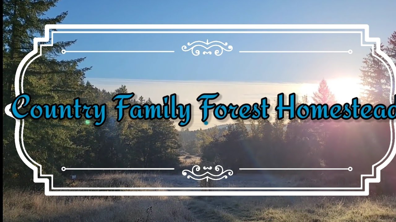Country Family Forest Homestead is live! - YouTube