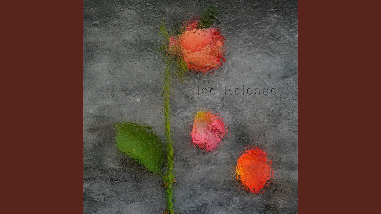 Dear Song - YouTube