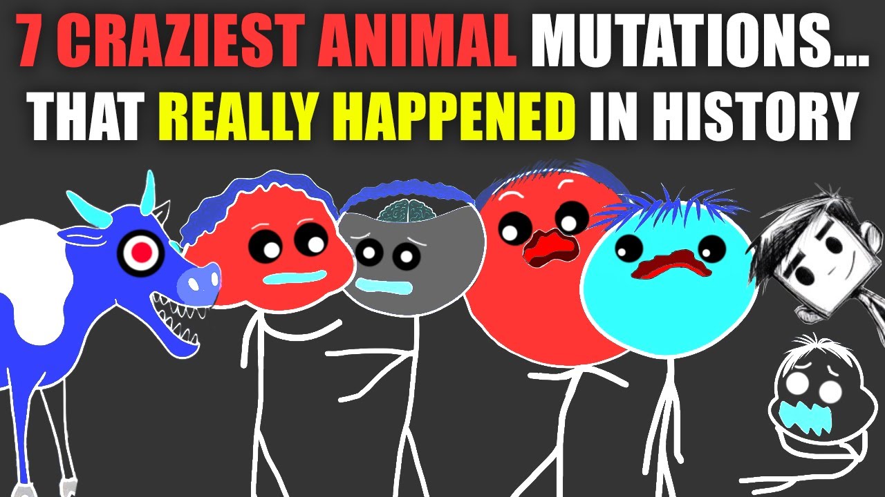 7 Craziest Animal Mutations | Animated Explained - YouTube