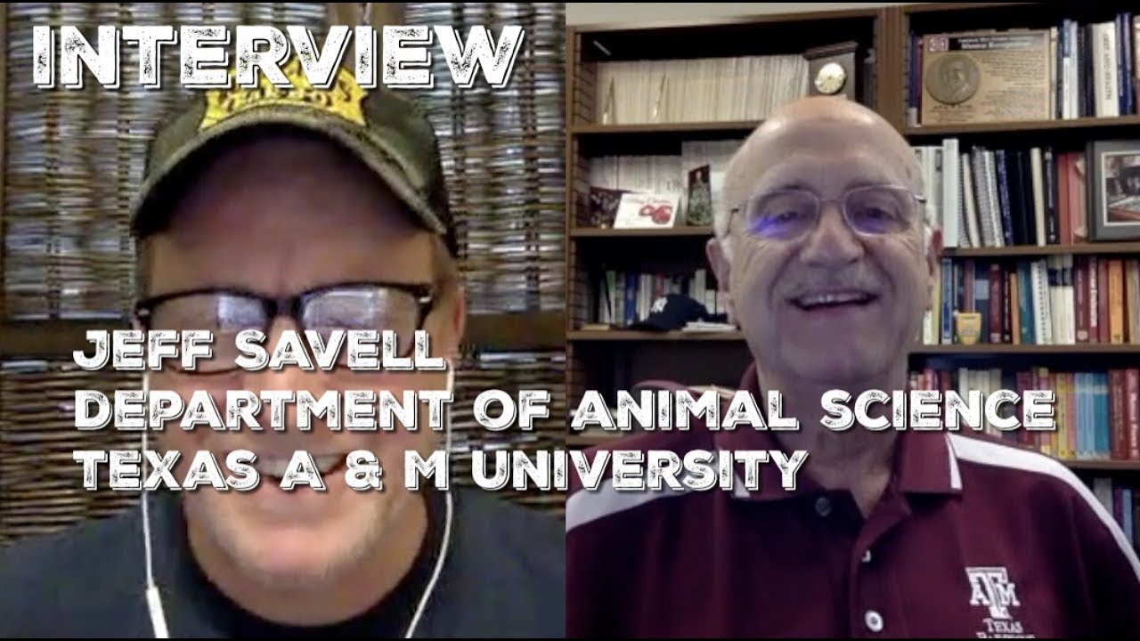 Jeff Savell - Texas A&M University - Department of Animal Science ...