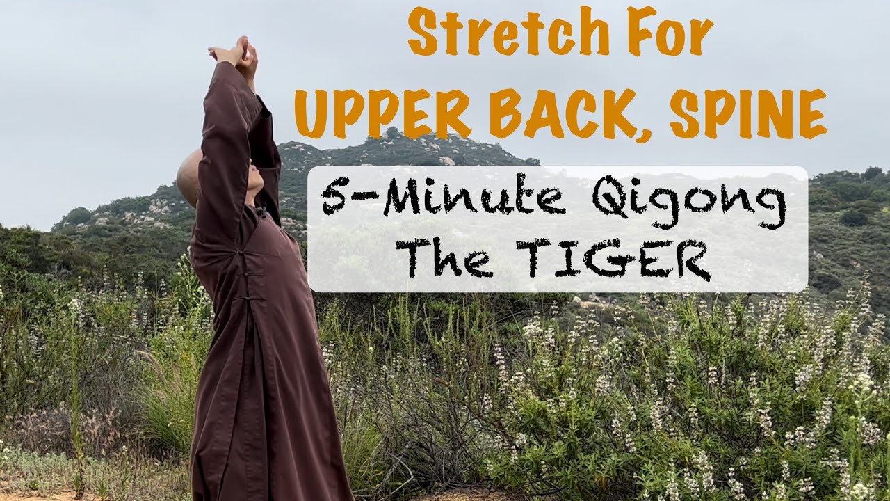 STRENGTHEN SPINE, and UPPER BACK | 5-Minute Qigong: The Tiger - YouTube