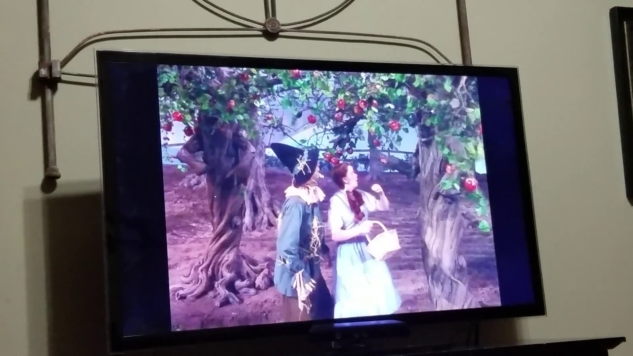 the wizard of oz talking trees - YouTube