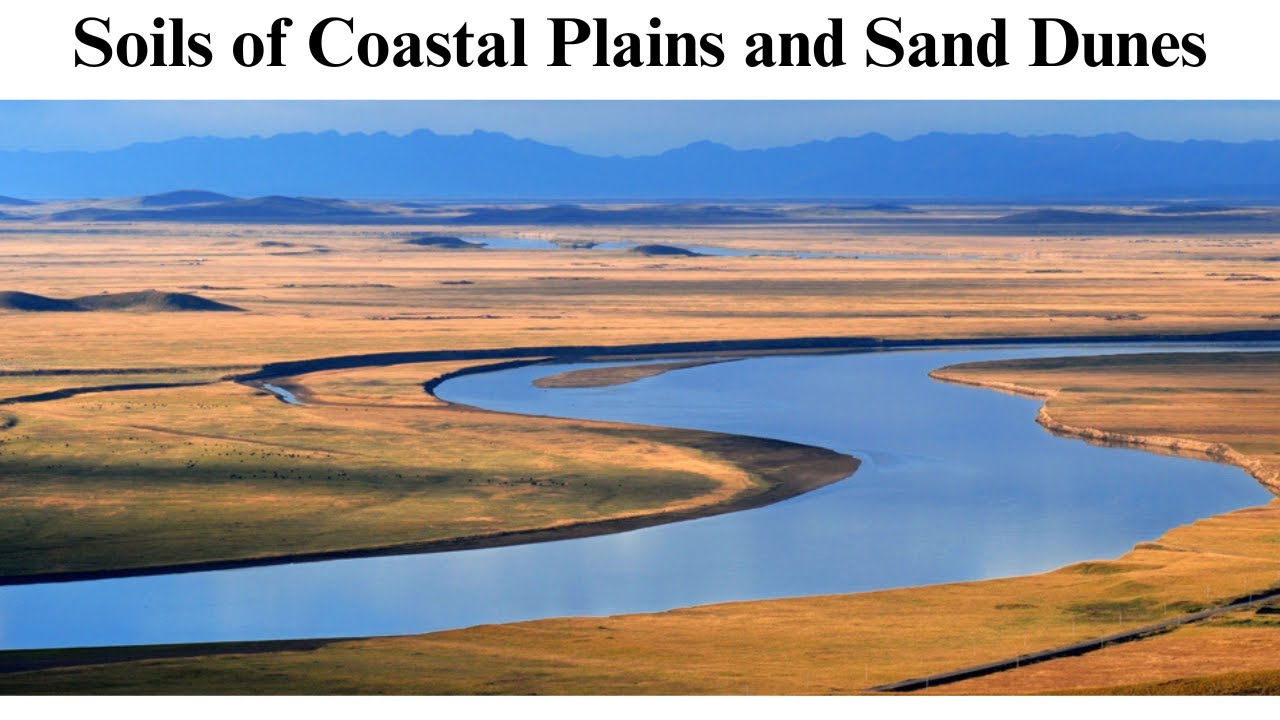 Soils of Coastal Plains & Sand Dunes #10x_simple - YouTube