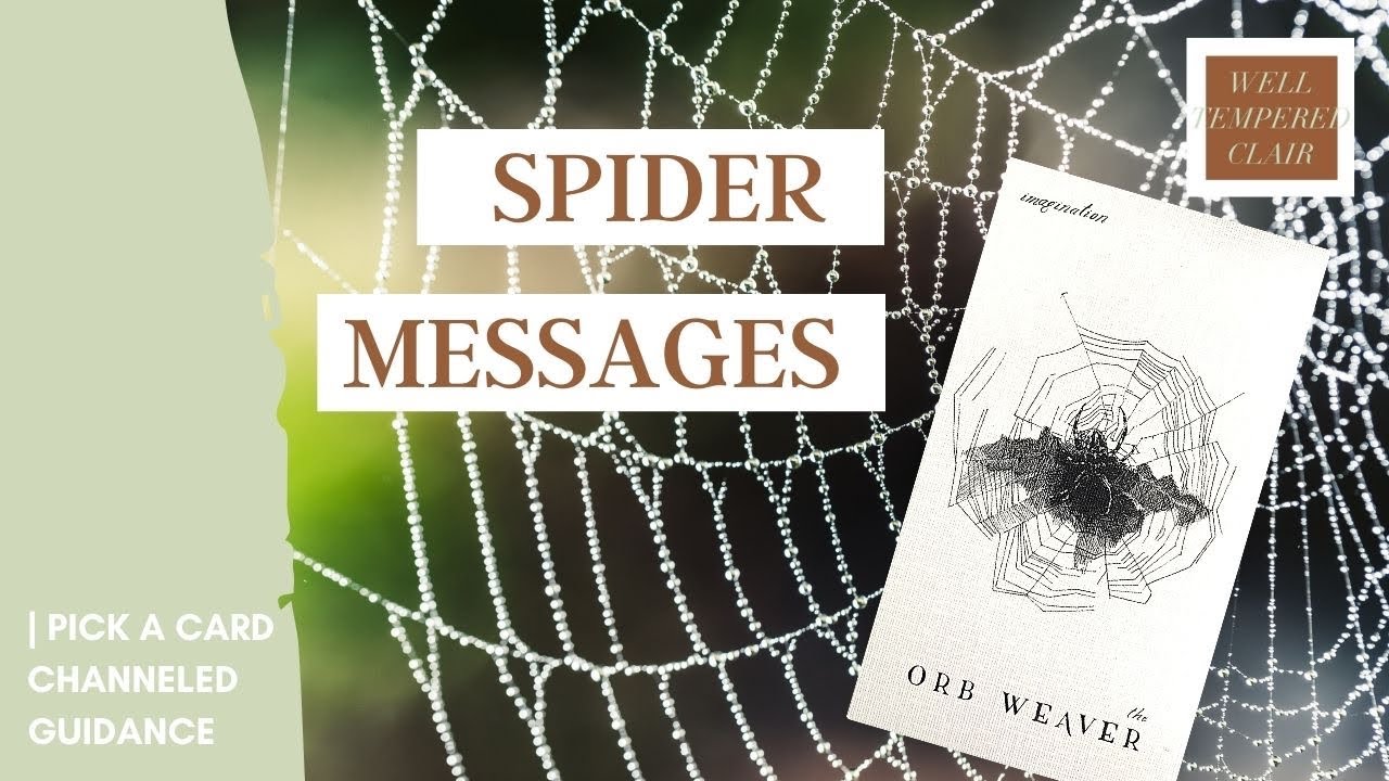 🕷 SPIDER MESSAGES(PICK A CARD) 🕷 | SPIRIT ANIMAL MESSAGES - YouTube