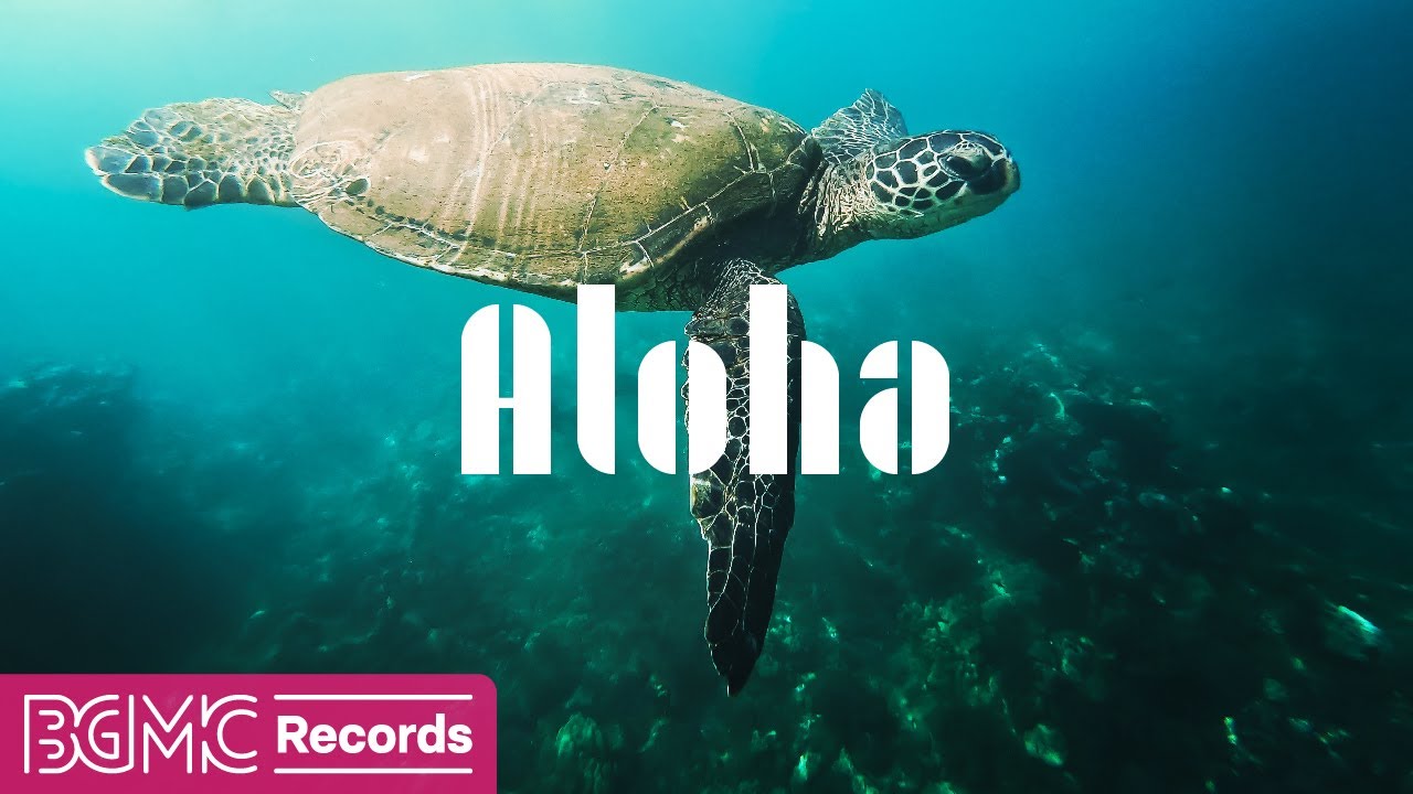 Deep Blue Serenity: Hawaiian Music with Majestic Turtles in the Ocean's ...